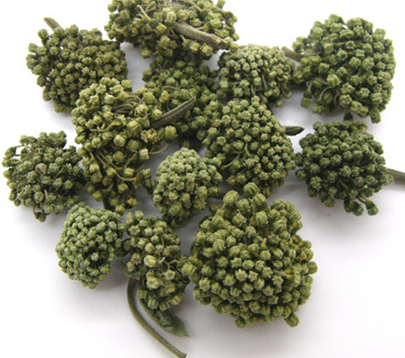 Sanchi Flower - TCM Herbs - TCM Wiki