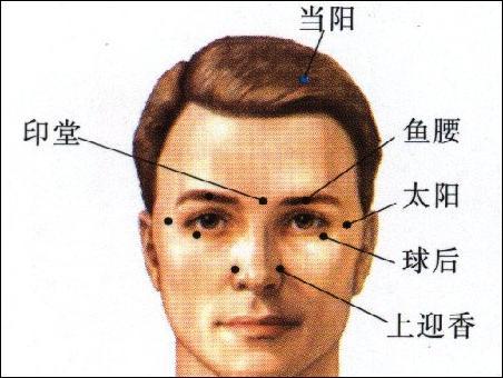 Shangyingxiang - TCM Wiki