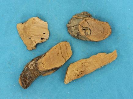 Chinese hawthorn root - TCM Herbs - TCM Wiki