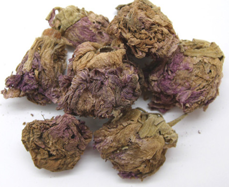 Fu Rong Hua - TCM Herbs - TCM Wiki