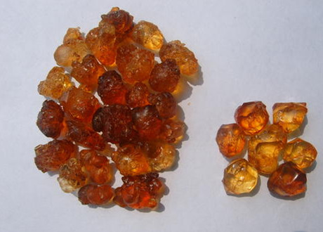 Peach Gum - TCM Herbs - TCM Wiki