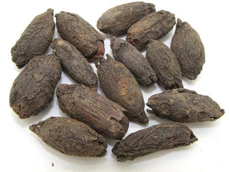 Clove Fruit - TCM Herbs - TCM Wiki