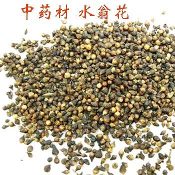 Cleistocalyx operculatus - TCM Herbs - TCM Wiki
