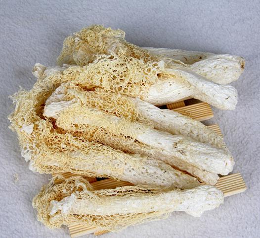 Bamboo fungus - TCM Herbs - TCM Wiki