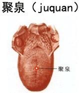Juquan - TCM Wiki