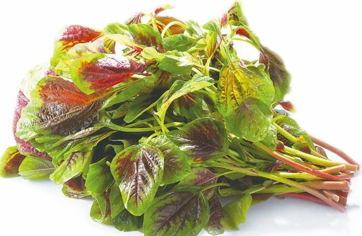 Xian Cai - TCM Herbs - TCM Wiki