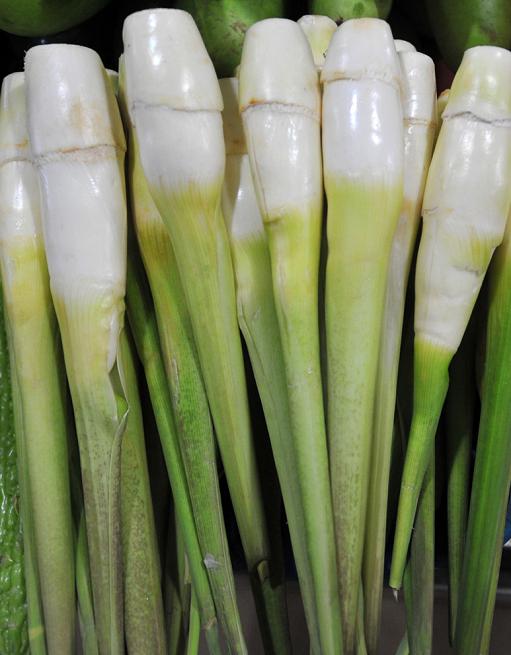 Jiao Bai - TCM Herbs - TCM Wiki