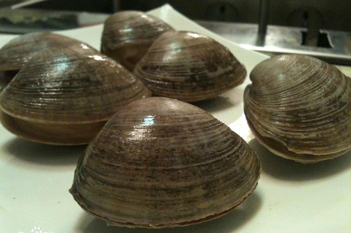 Corbicula Shell - TCM Herbs - TCM Wiki