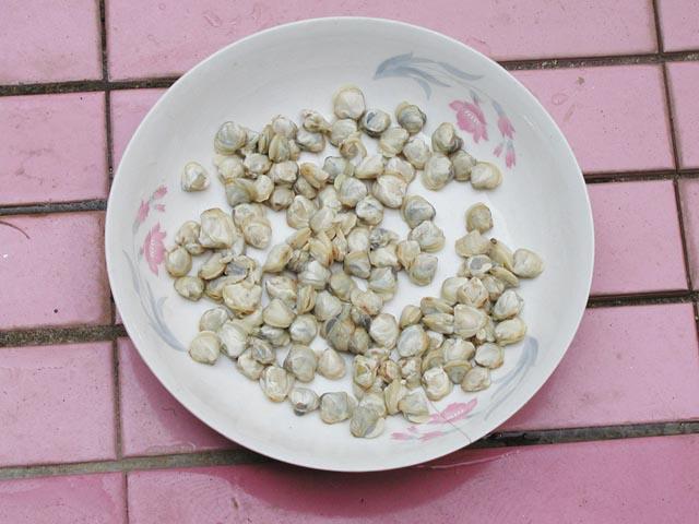 Xian Rou - TCM Herbs - TCM Wiki
