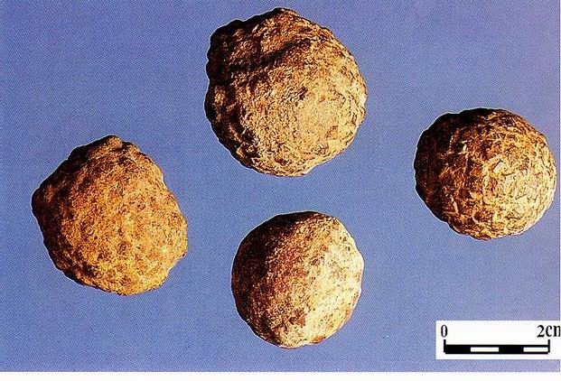 Limonite nodule - TCM Herbs - TCM Wiki