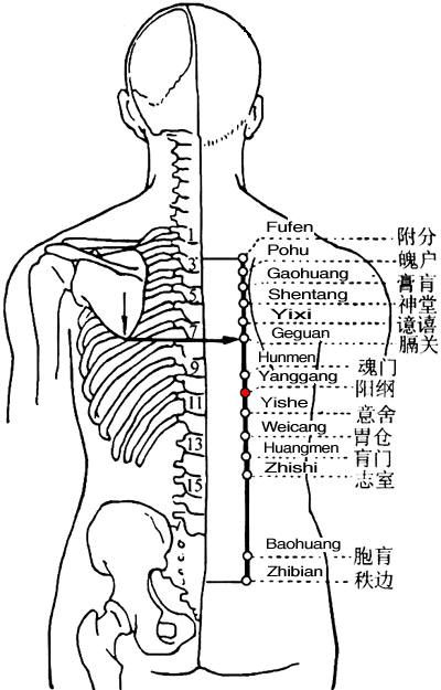Yanggang - TCM Wiki
