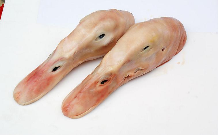 Duck head - TCM Herbs - TCM Wiki