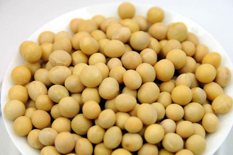 Soybean - TCM Herbs - TCM Wiki