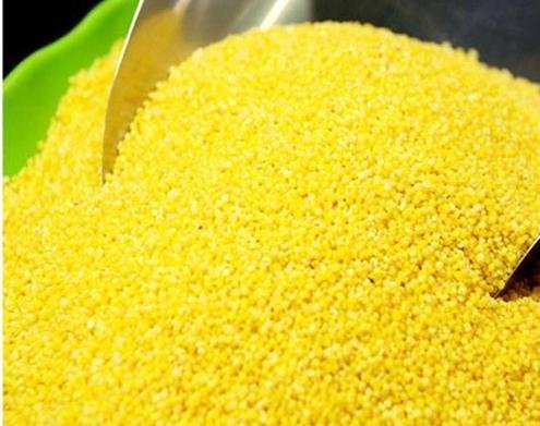 Fruit of broomcorn millet - TCM Herbs - TCM Wiki