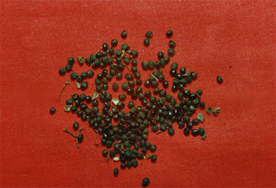 Jiao Mu - TCM Herbs - TCM Wiki