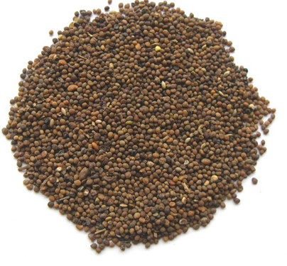 Chinese Dodder Seed - TCM Herbs - TCM Wiki